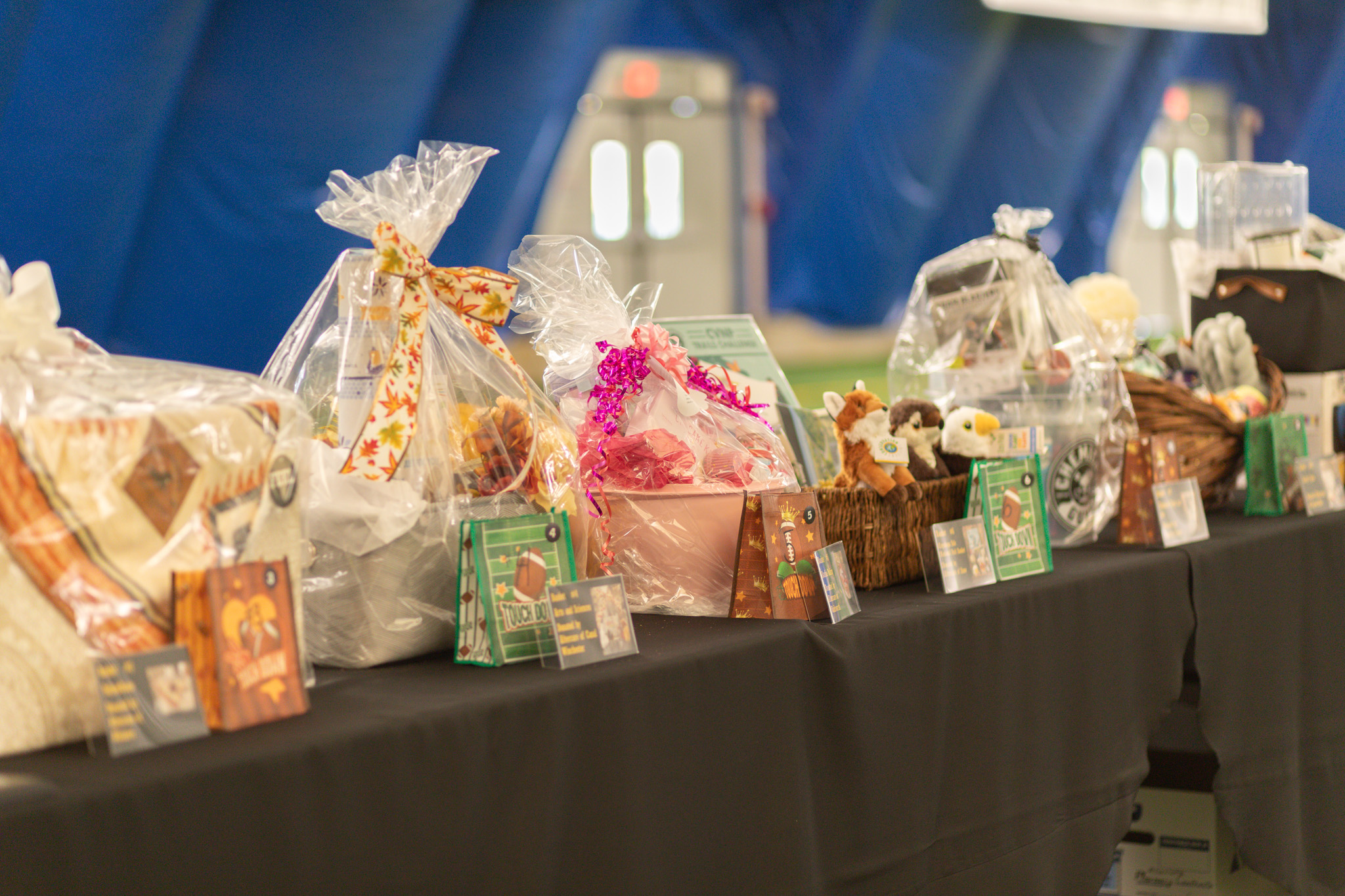 In Jerry's Footsteps | Annual Event